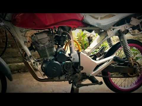 Story WA tiger herex!!!