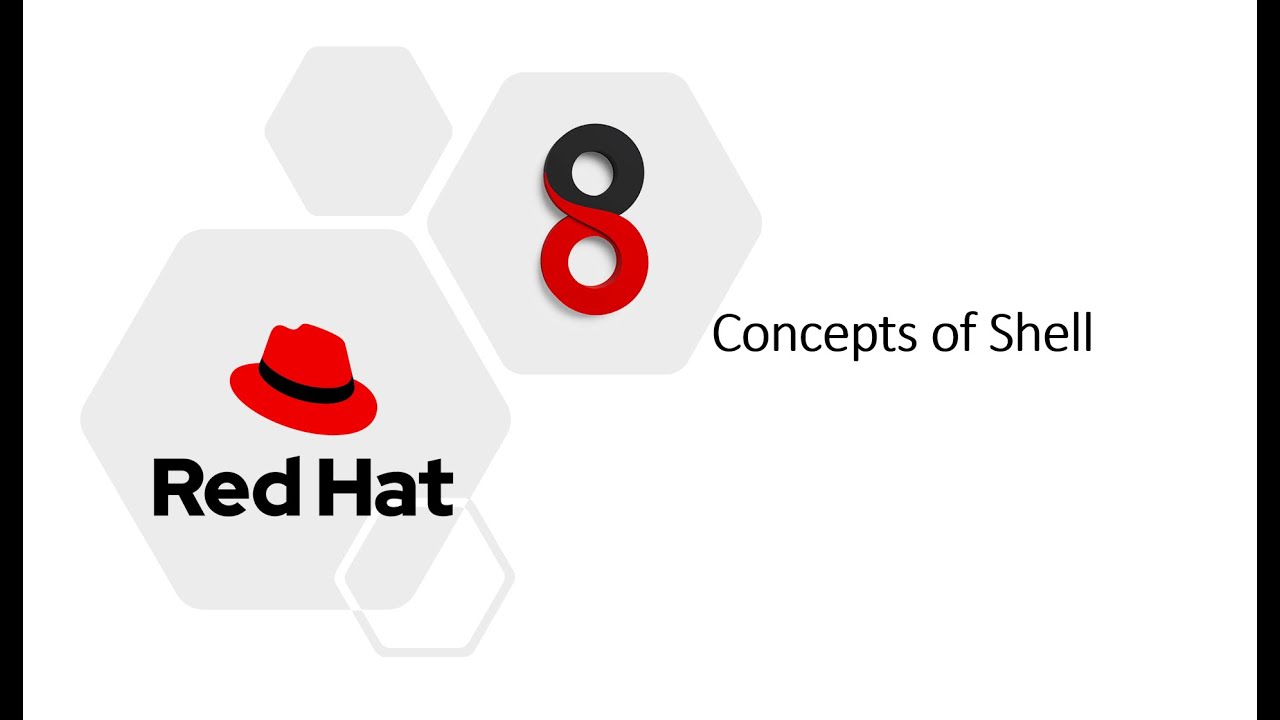 What is Shell? / Concepts of Shell - YouTube