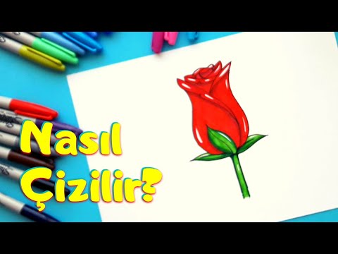Gül Nasıl Çizilir? | How to Draw a Rose | Nasıl Çizilir