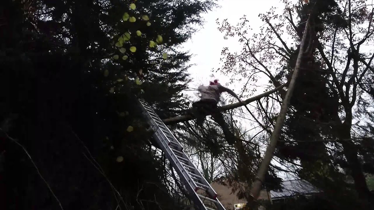 Tree cutting fail and fall - YouTube
