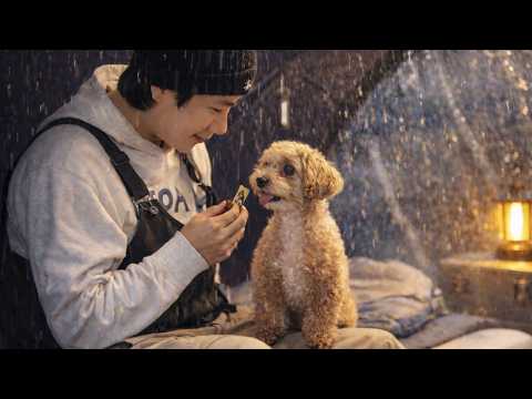 🌧️ Heavy Rain All Night, Forest Camping with My Dog｜Rain Camping ASMR
