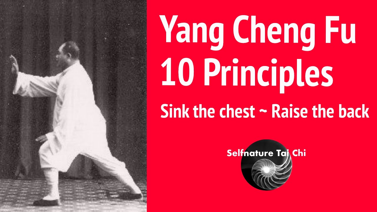 Yang Cheng Fu 10 Tai Chi Principles - Sink the Chest, Raise the back ...