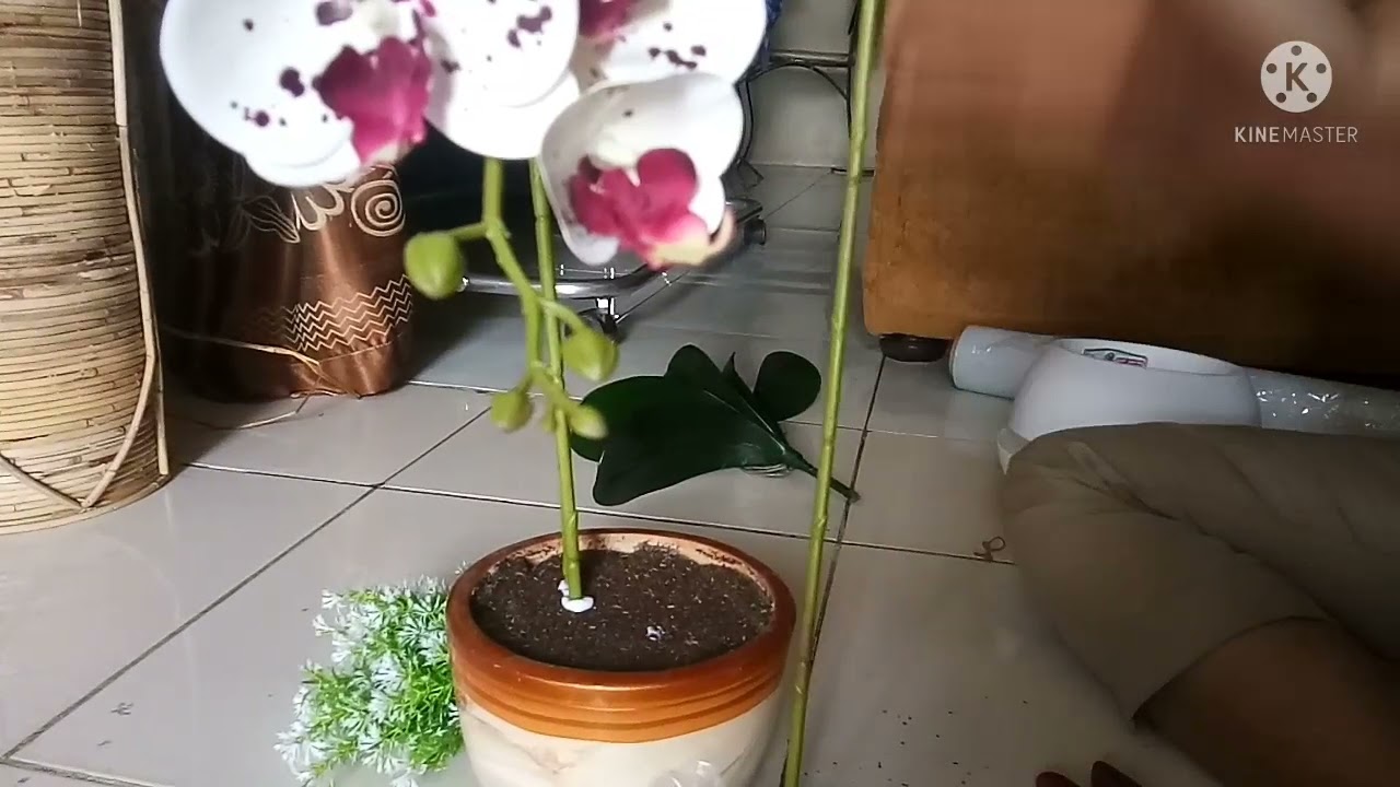 cara merangkai bunga anggrek 2 tangkai/merangkai bunga palsu/tutorial ...