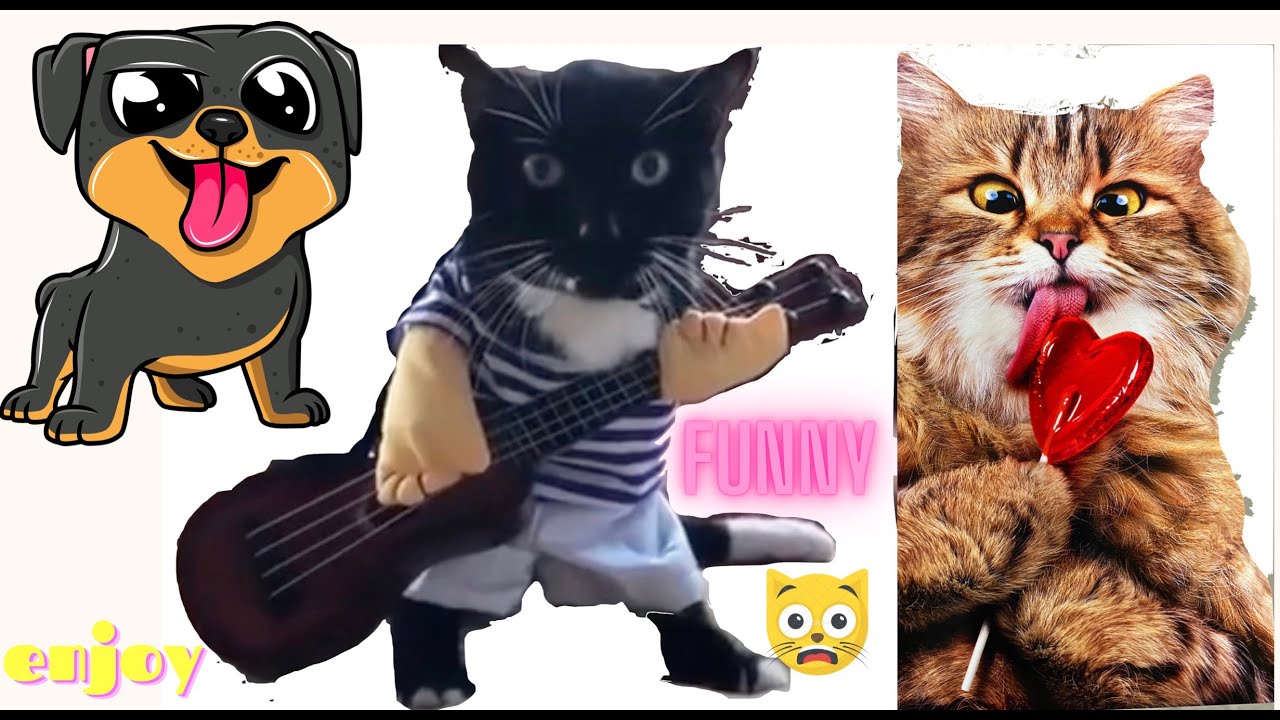 cutest animal reaction/ cute Cat and dog enjoying eating/singing and ...