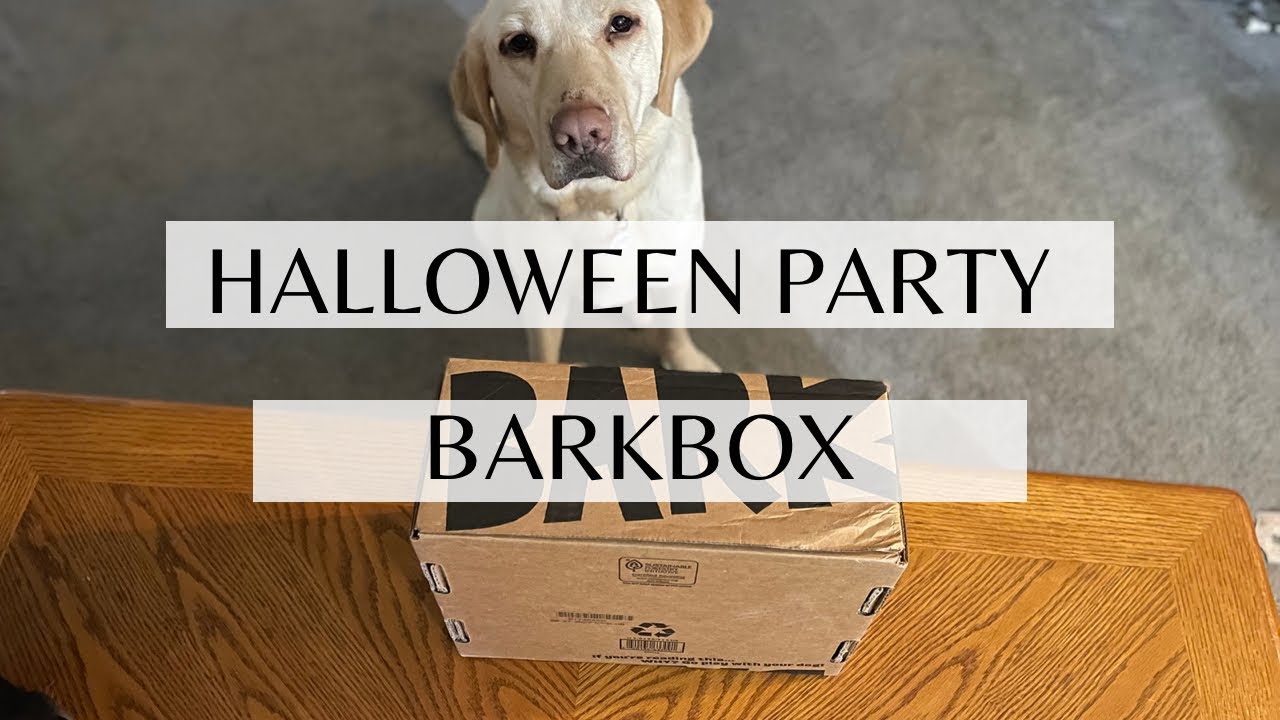 Halloween Party Barkbox - YouTube