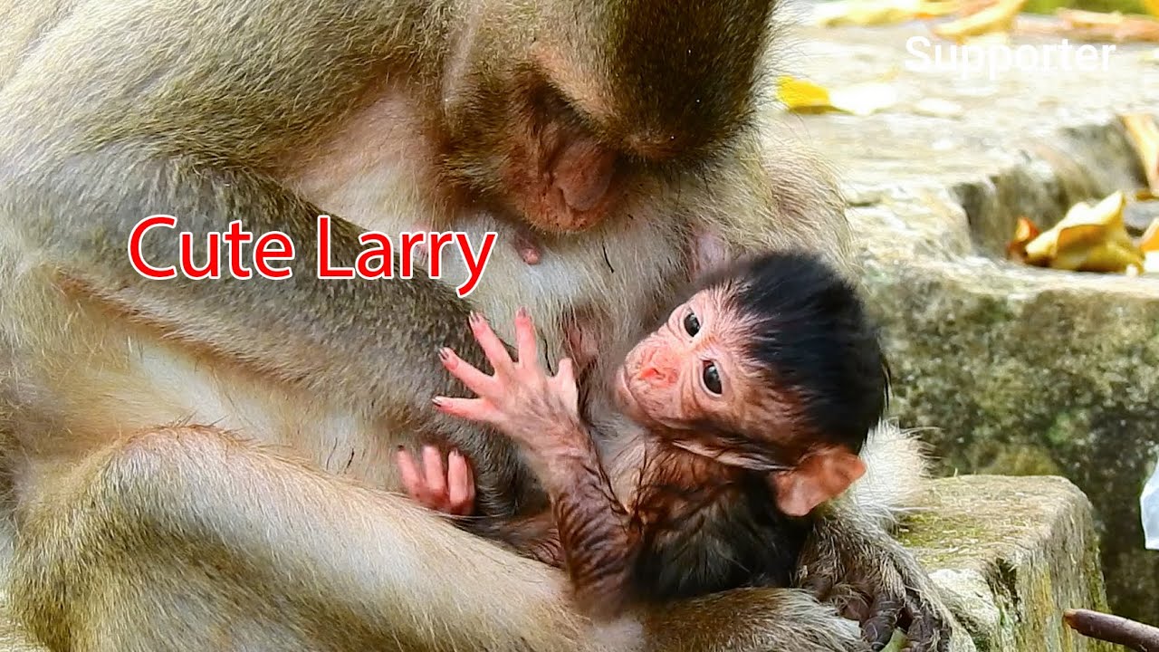 loni looks so sweet with her first baby larry even she has a first baby ...