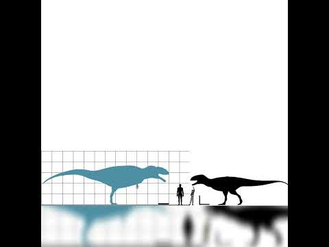 Mapusaurus And Titanovenator Size Comparison - YouTube