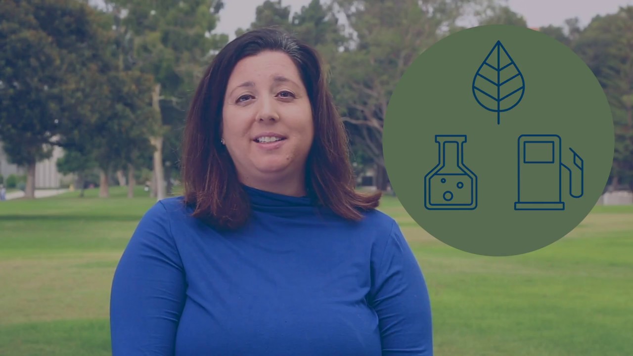 Michelle O'Malley, UC Santa Barbara: Harnessing Wild Microbes to ...