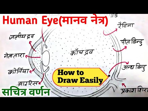 Manav Netra Ka Chitra Kaise banaen?|| मानव नेत्र का चित्र कैसे बनायें ...