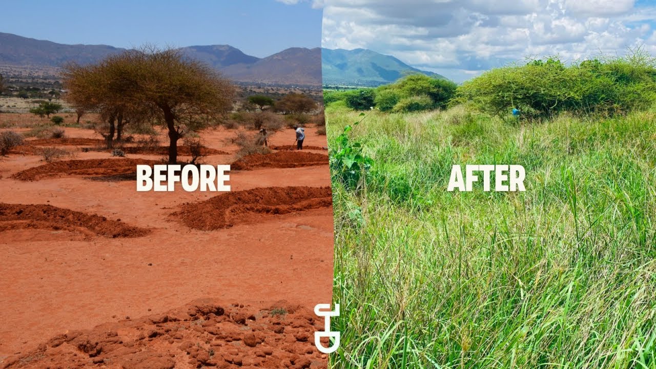 How Africa is Transforming Dry Land into Green Forests - YouTube