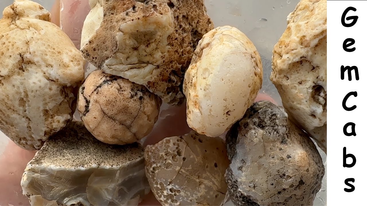 Group of Arizona Agates Cut Open to Reveal the Beauty Inside 11 14 24 A ...