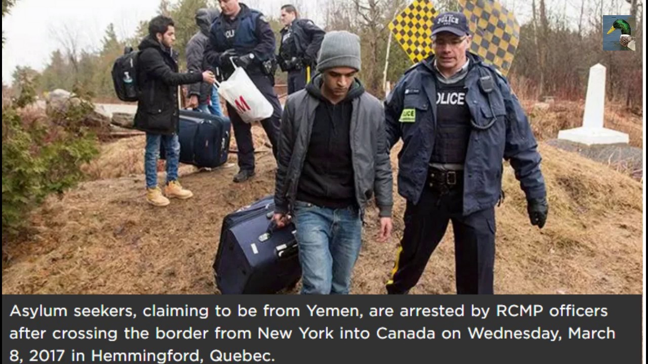 Canada encourages border hoppers - YouTube