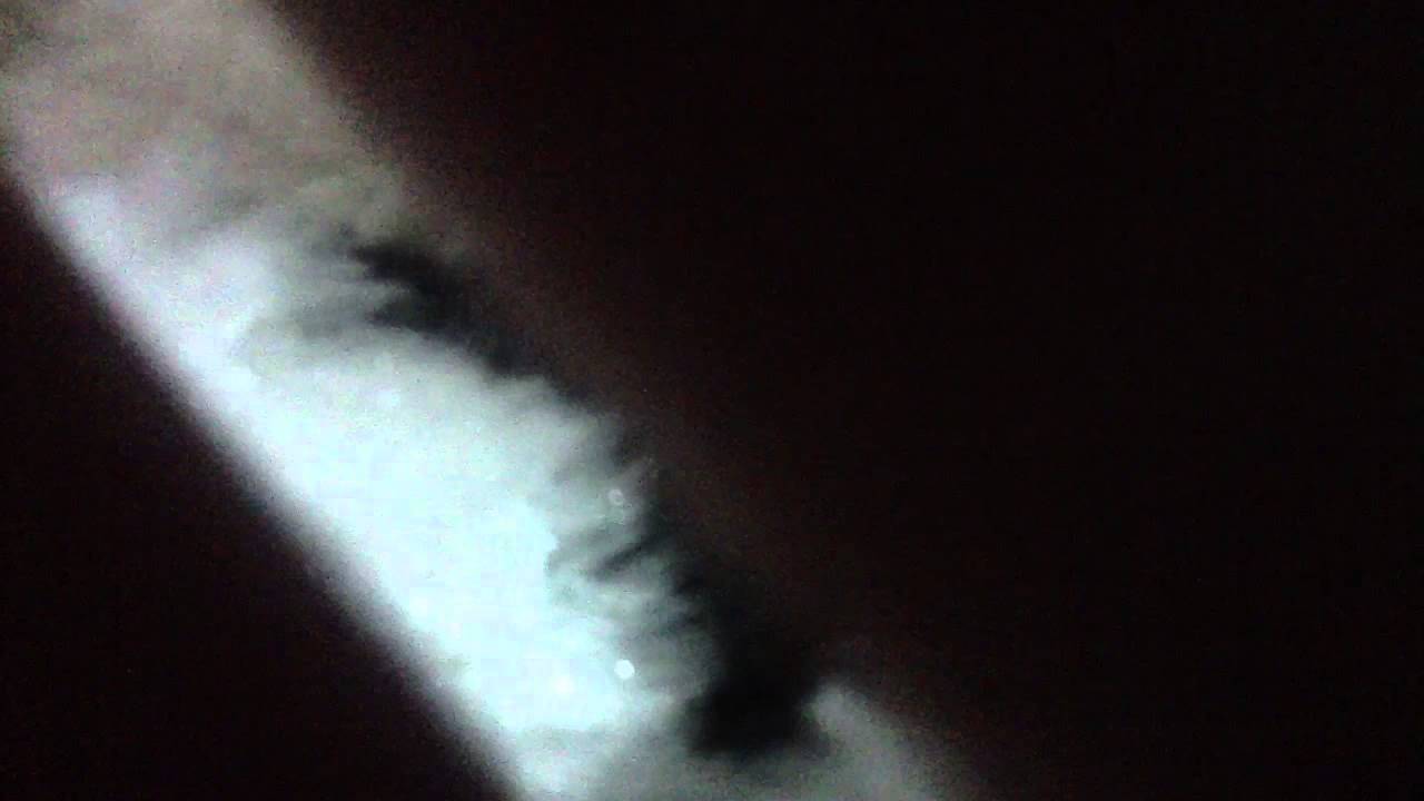 Im Asshole Youtube