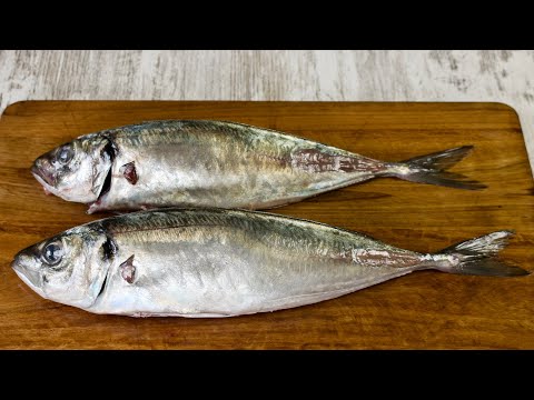 Tipos De Pescado Azul • TIPOSDE
