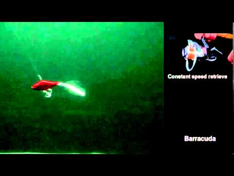 GT-BIO Barracuda Sonic Spinning Lure - YouTube