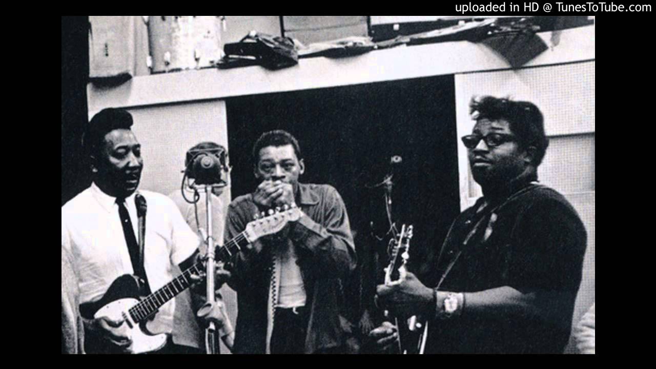 Muddy Waters And Little Walter