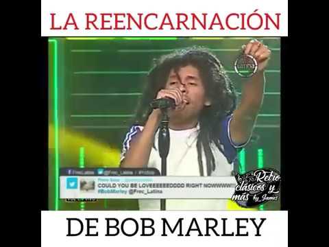 La Réecarnation de Bob MARLEY