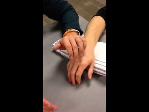 Active Place-and-Hold Exercise - YouTube