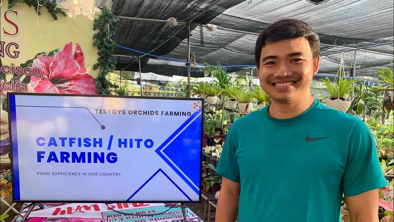 Hito ( Catfish) farming in tanks seminar - YouTube