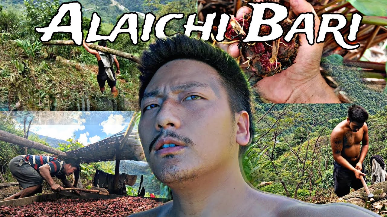 Alaichi Bari at town New Uttam gurung vlogs. - YouTube