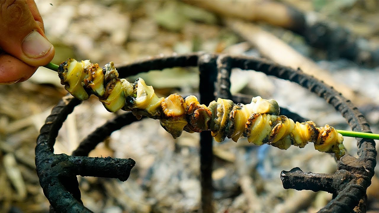 |Survival Miniature Wilderness Cooking|Amazing Grill Delicious Snail ...