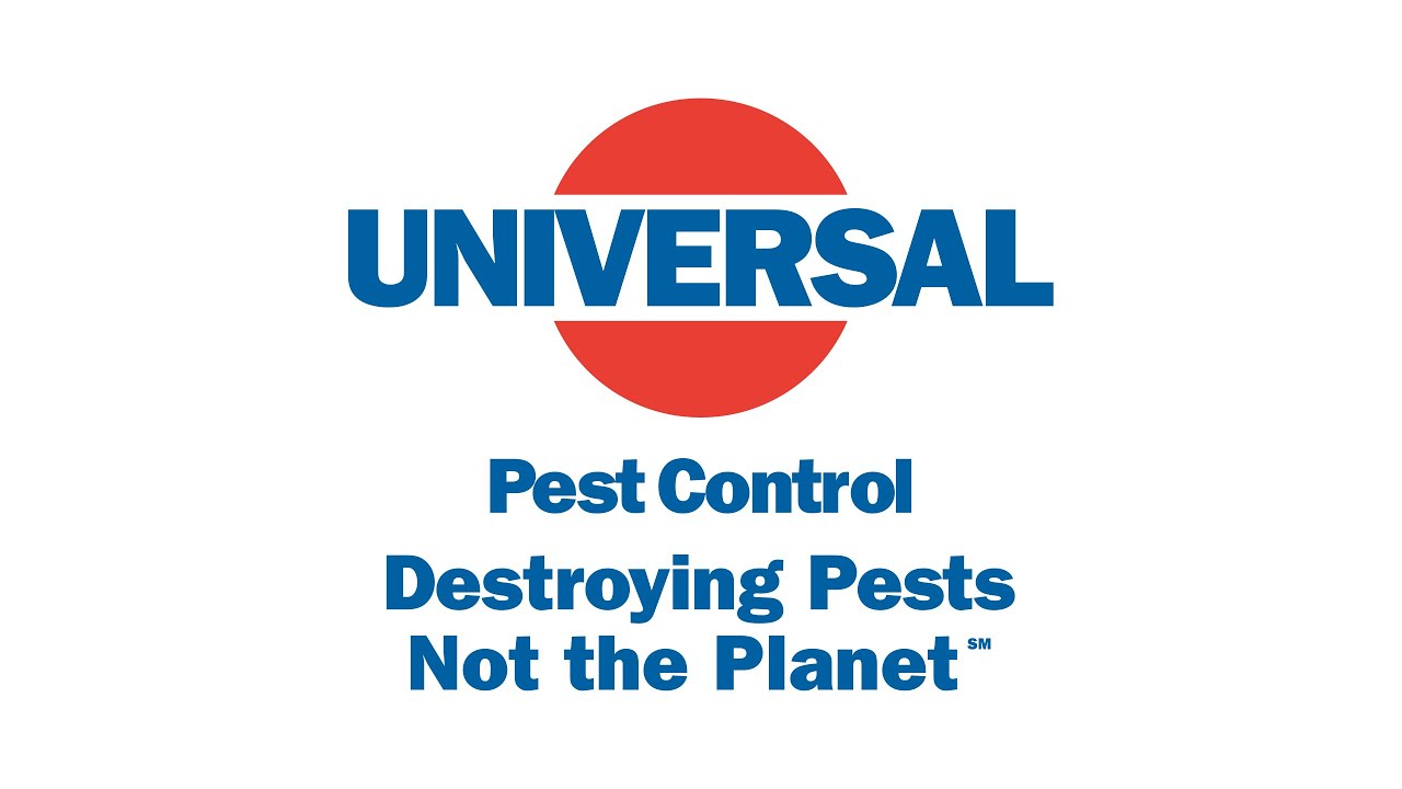 Interview: Universal Pest Control - YouTube