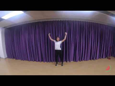 [SWAN]Red Velvet-PEEK A BOO Cover Practice