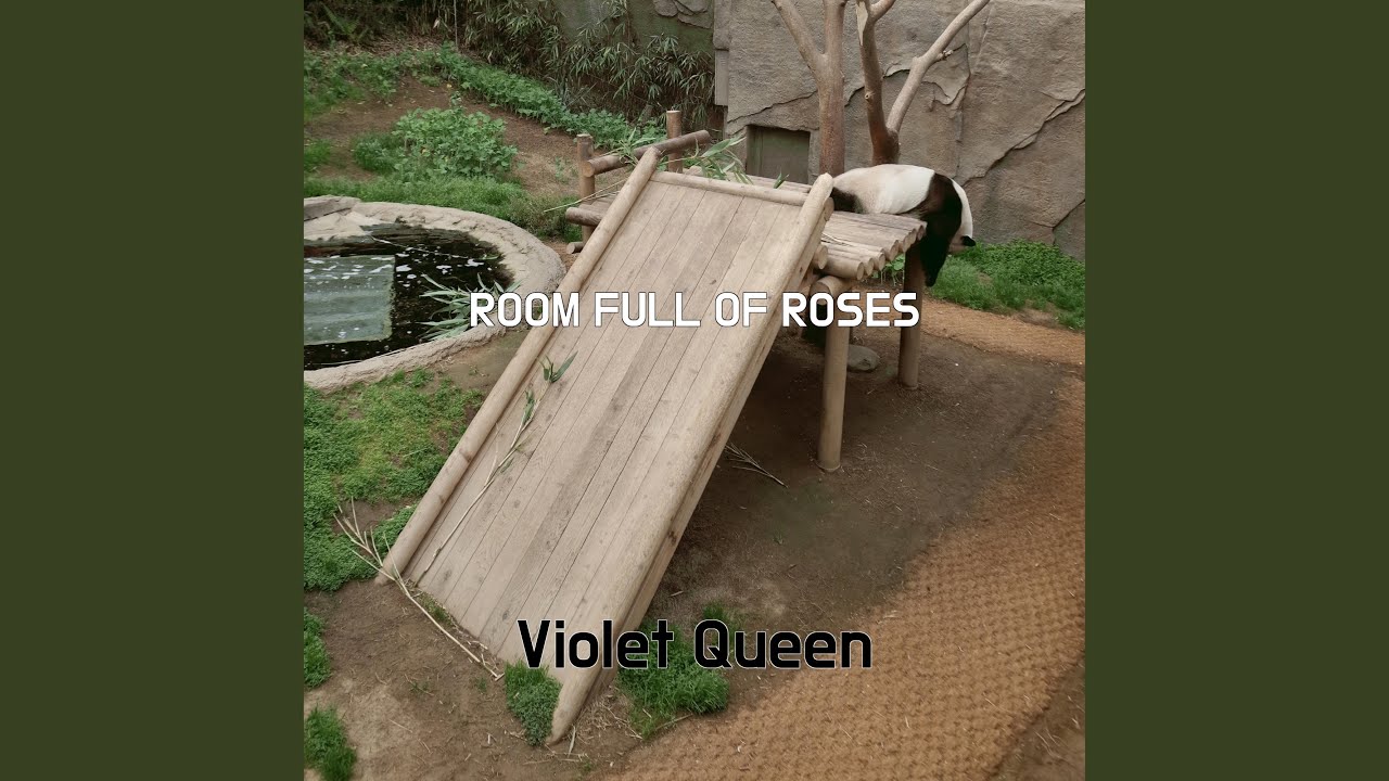 ROOM FULL OF ROSES - YouTube