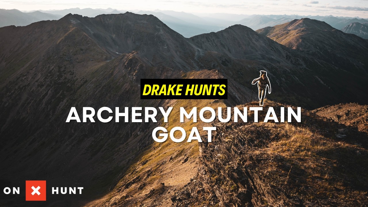 Yukon Archery Mountain Goat - 4K - YouTube