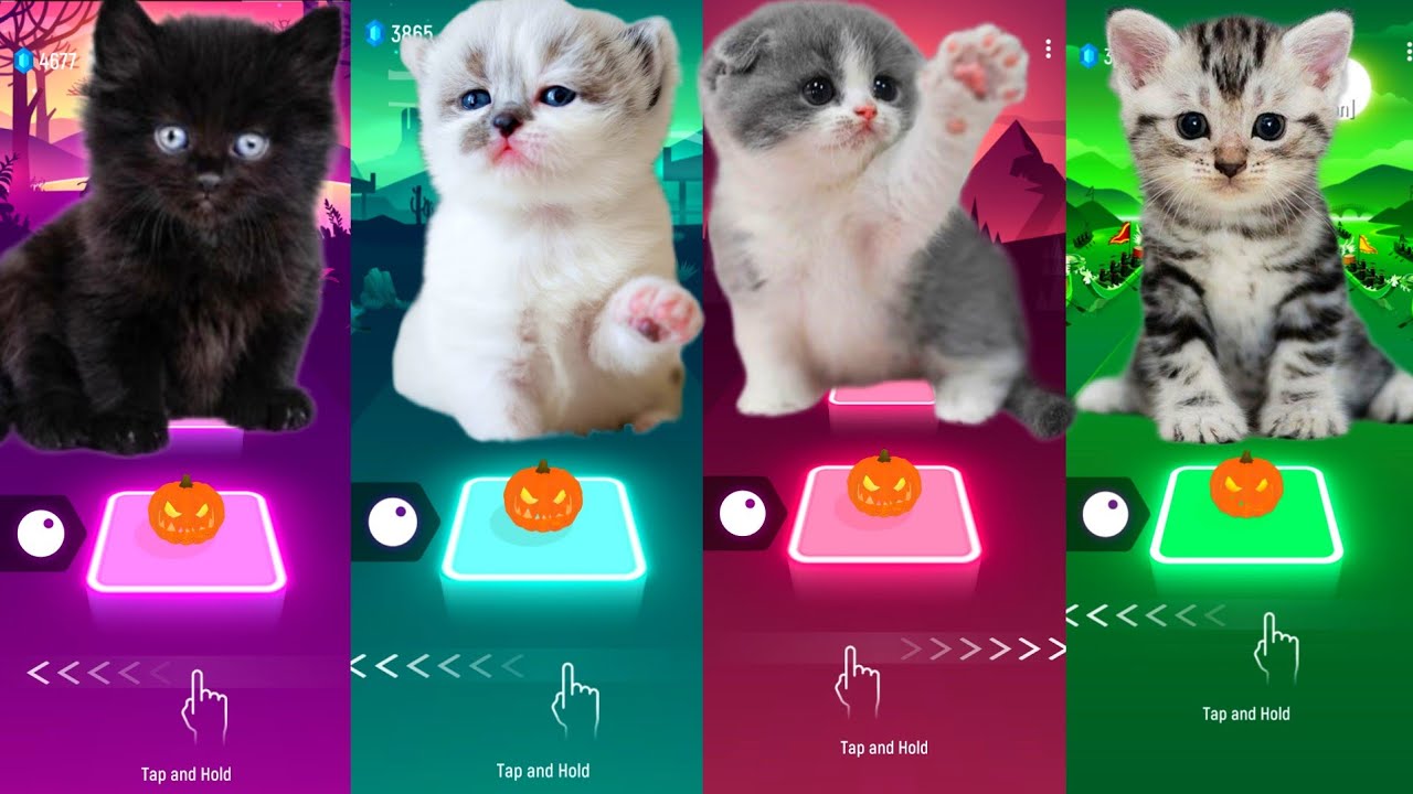 Cute Cats - Lady Gaga Bloody Mary Shakira Waka Waka GAYLE abcdefU ...