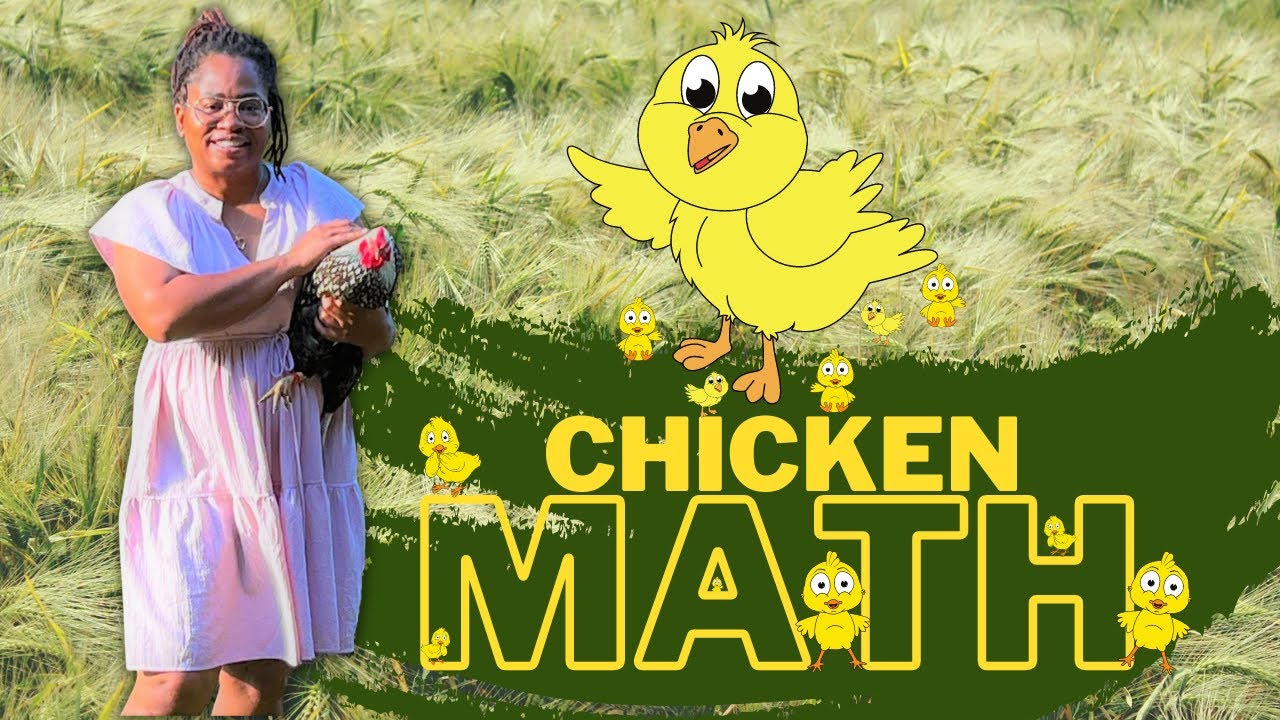 Chicken Math for BEGINNERS! - YouTube