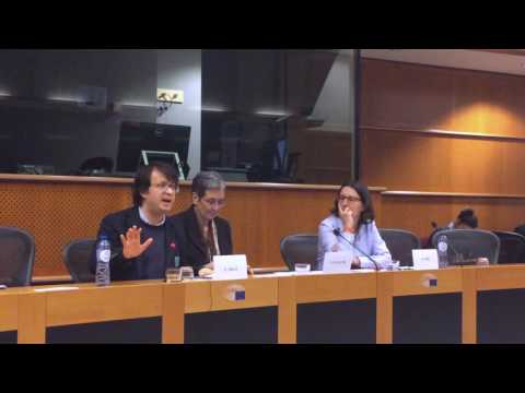 Emin Milli at the European Parliament