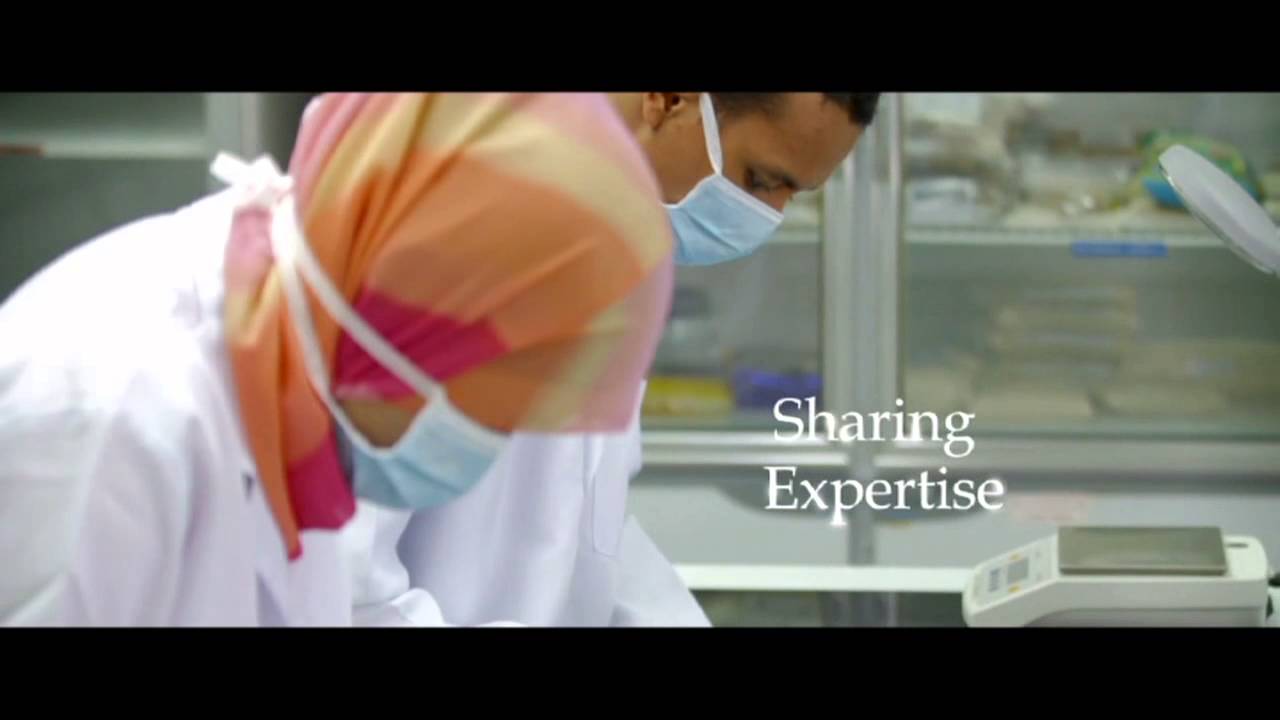 Bernas Corporate Video - YouTube