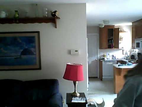 oreo dancing to forever