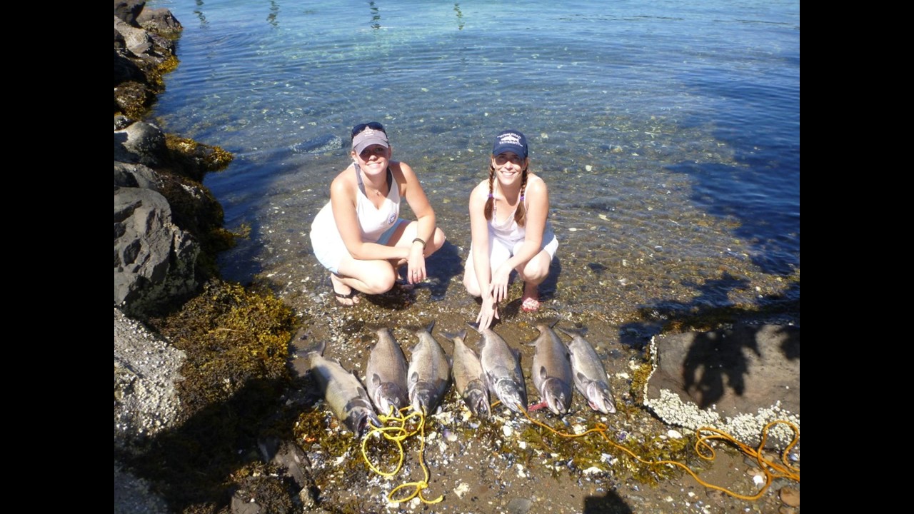 Fish Documentary - YouTube