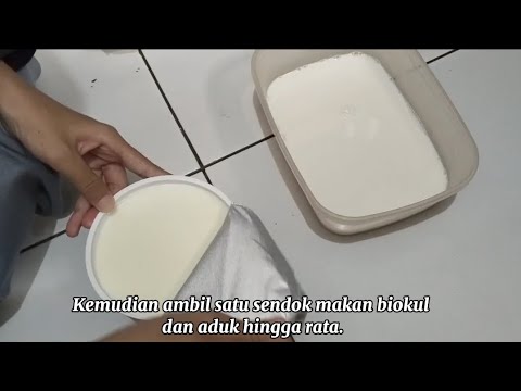 Bioteknologi Sederhana | Pembuatan Yogurt |
