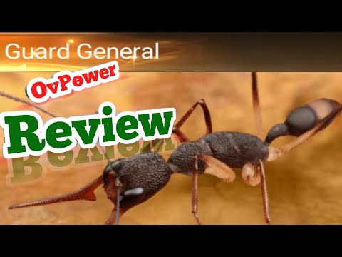 The Ants Underground Kingdom, Review Guard General Super Op parah ...