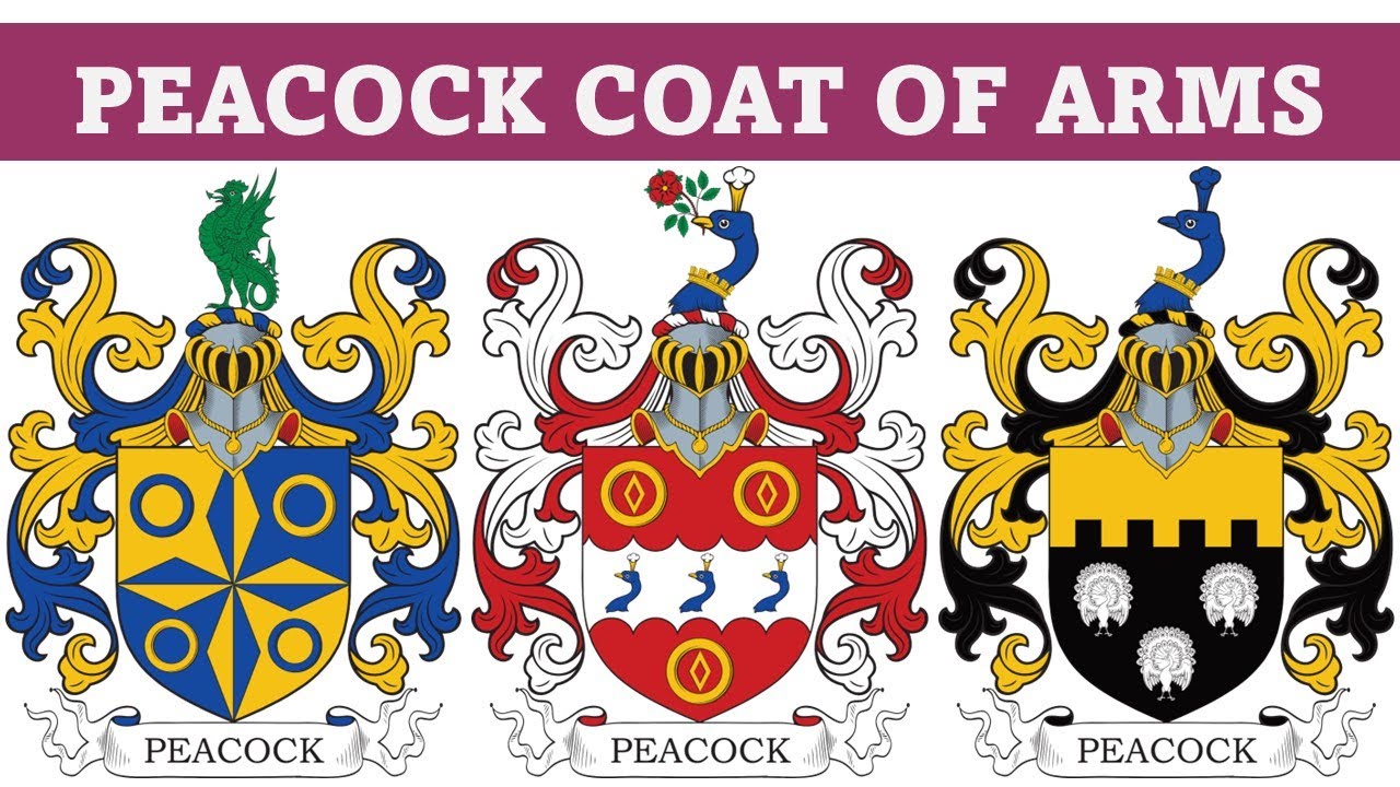 Peacock Coat of Arms & Family Crest - Symbols, Bearers, History - YouTube