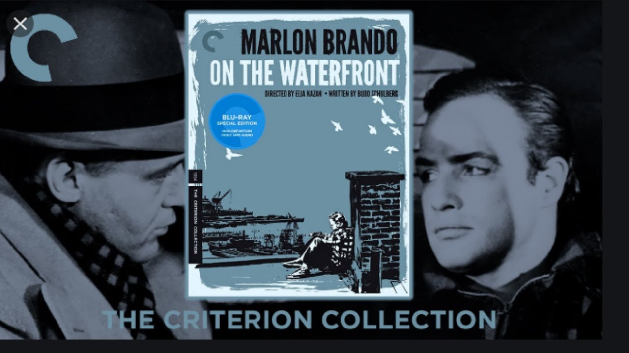 My Complete Criterion Collection 2020 - YouTube