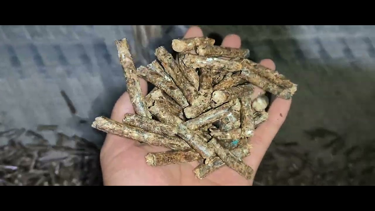 Wood pallet making machine wood pellet mills - YouTube