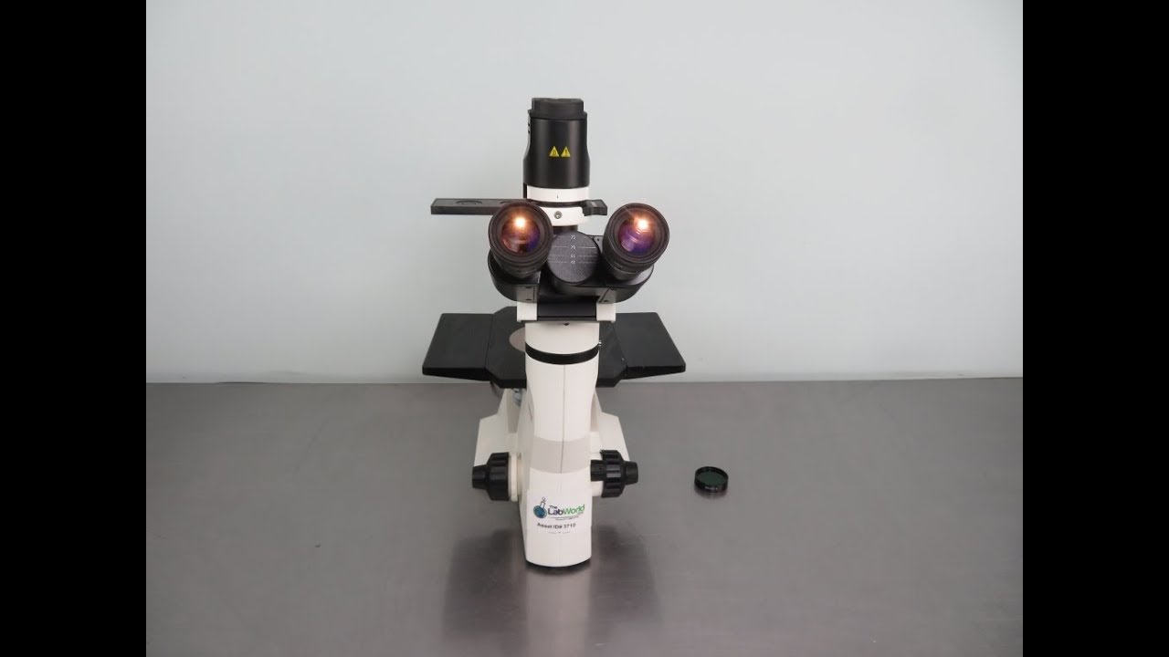 Labomed TCM 400 Inverted Phase Contrast Microscope - YouTube