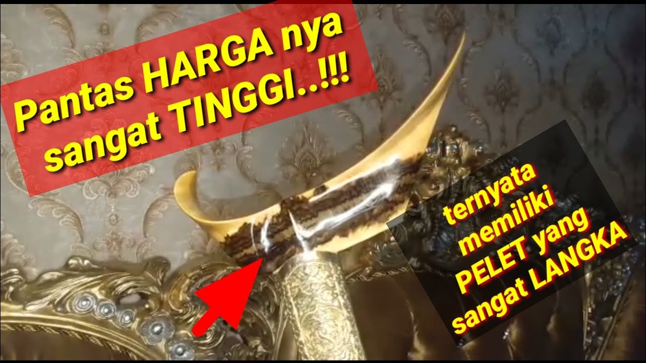 Warangka KERIS dengan "pelet" super Langka ini Harganya SELANGIT ...