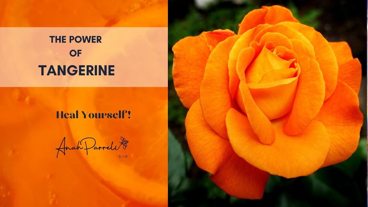 C31 Tangerine| Power, Messages, Symbolism and Activities - YouTube