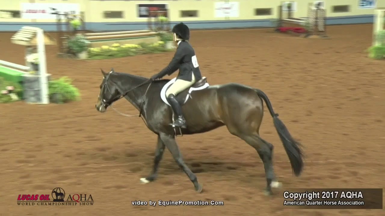2017 AQHA Amateur Working Hunter and Equitation Over Fences - YouTube