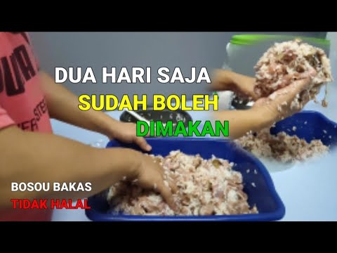 Cara buat bosou babi hutan - YouTube
