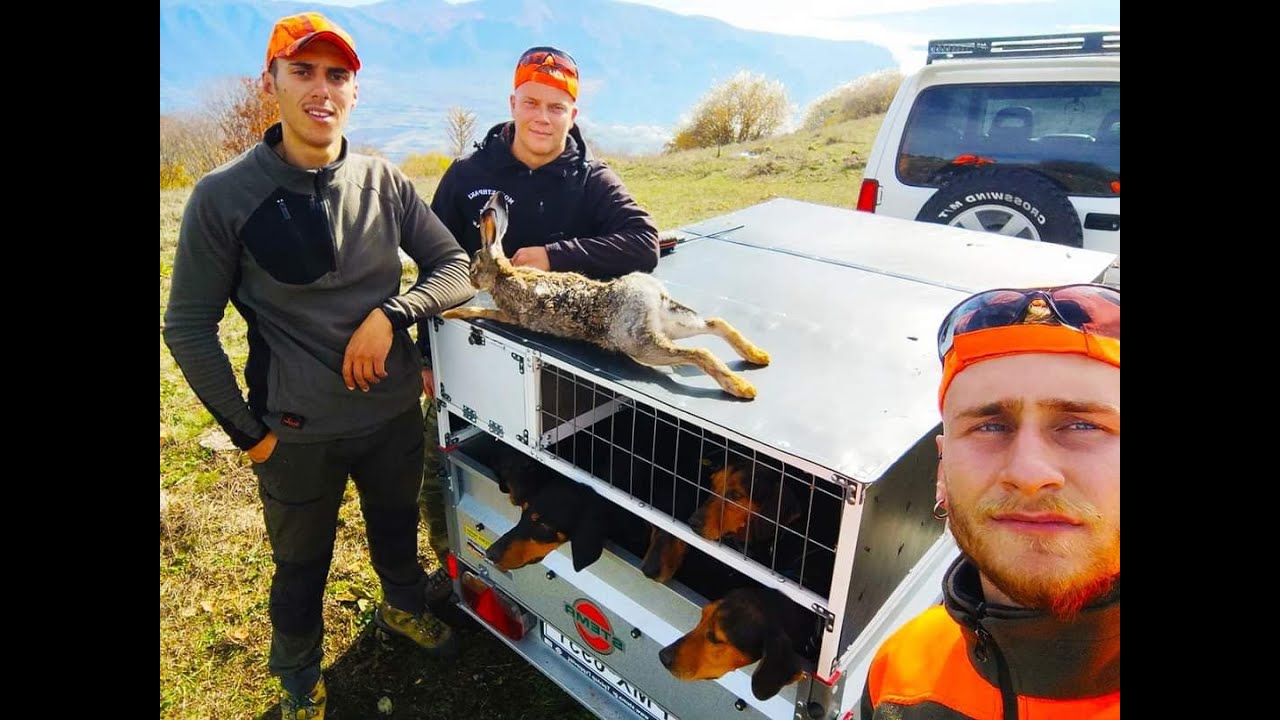 Κυνήγι λαγού με ΕΛΛΗΝΙΚΟΥΣ ΙΧΝΗΛΑΤΕΣ. Hare hunting in Greece!!! 4 ...