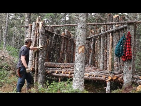 I'm Building The Ultimate Bushcraft Survival Shelter Alone In The ...