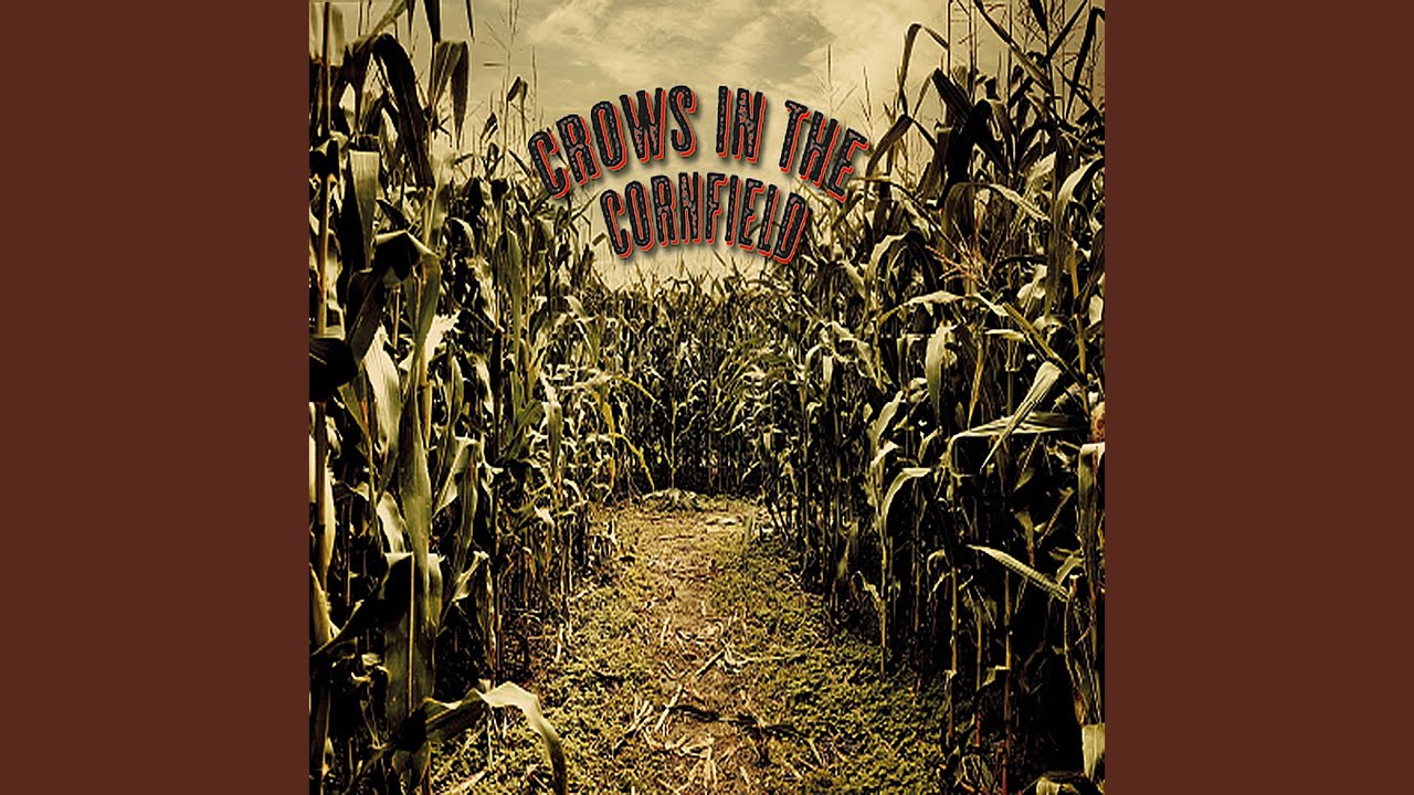 Crows in the Cornfield - YouTube