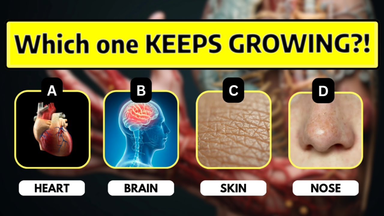 Quiz: What Body Organ Keeps Growing?! - YouTube