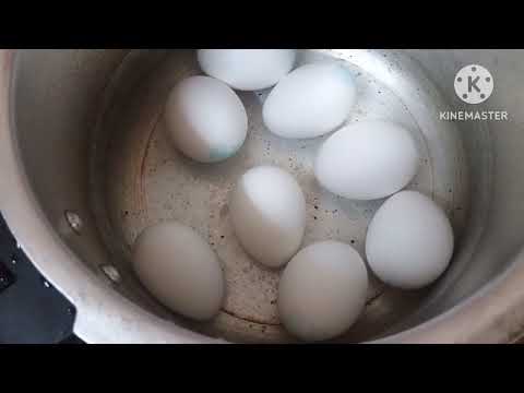 How to Make Egg Kadai / Indian Recipe🤗 - YouTube
